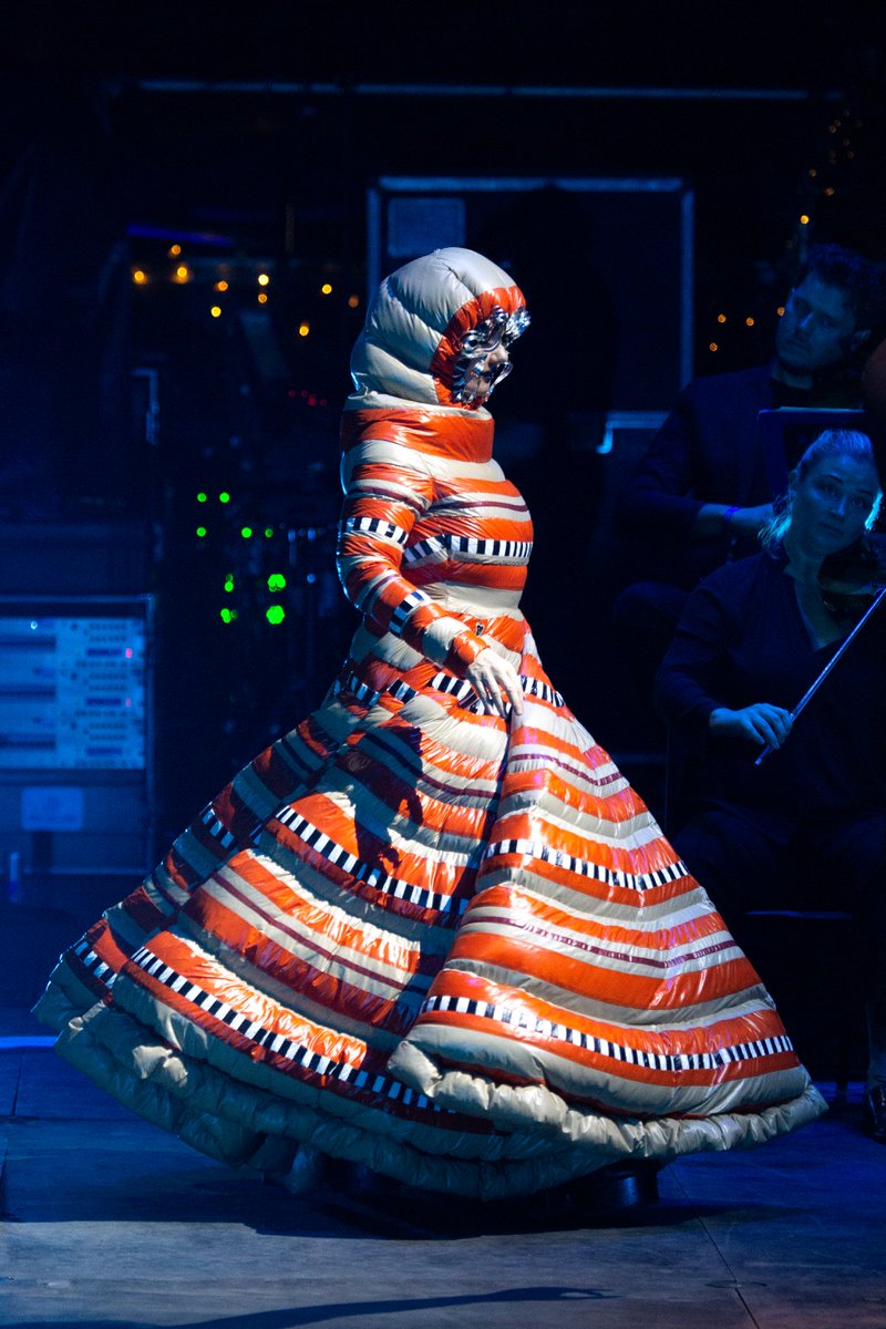 Björk está de volta ao Brasil: relembre a relação histórica da cantora ...