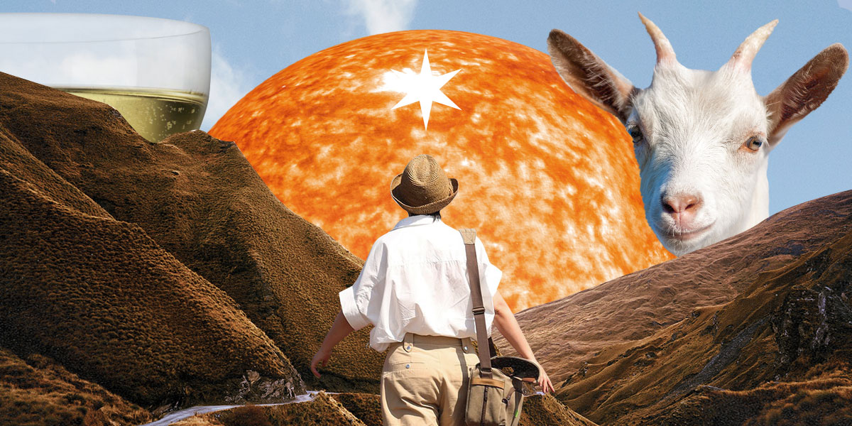 Potencial a toda: aproveite o brilho do Solstício - ELLE Brasil